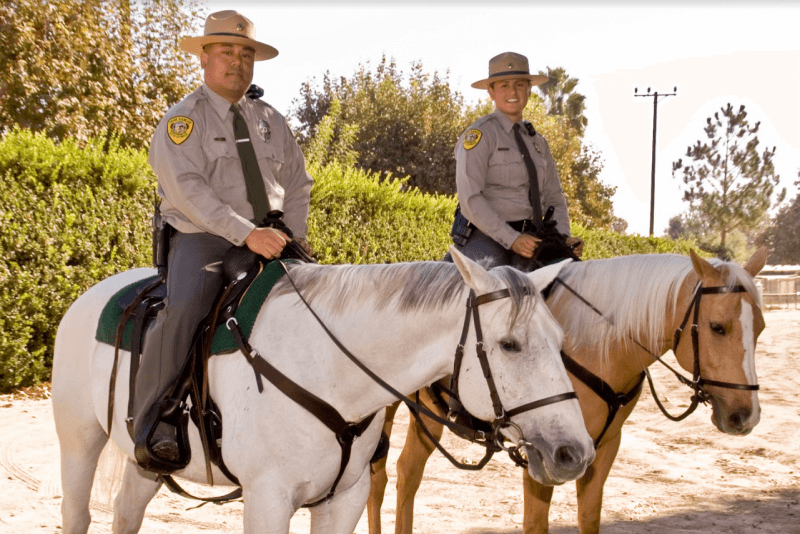 FRIENDS OF THE PARKS - Los Angeles Parks Foundation